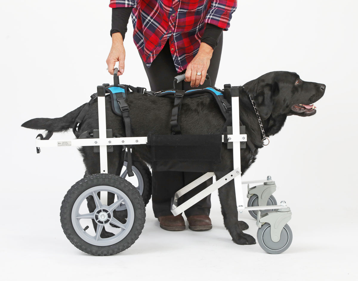 The #1 Custom Dog Wheelchair - Made in the USA - K9 Carts