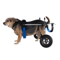 The #1 Custom Dog Wheelchair - Made in the USA - K9 Carts