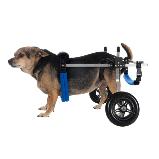 The #1 Custom Dog Wheelchair - Made in the USA - K9 Carts