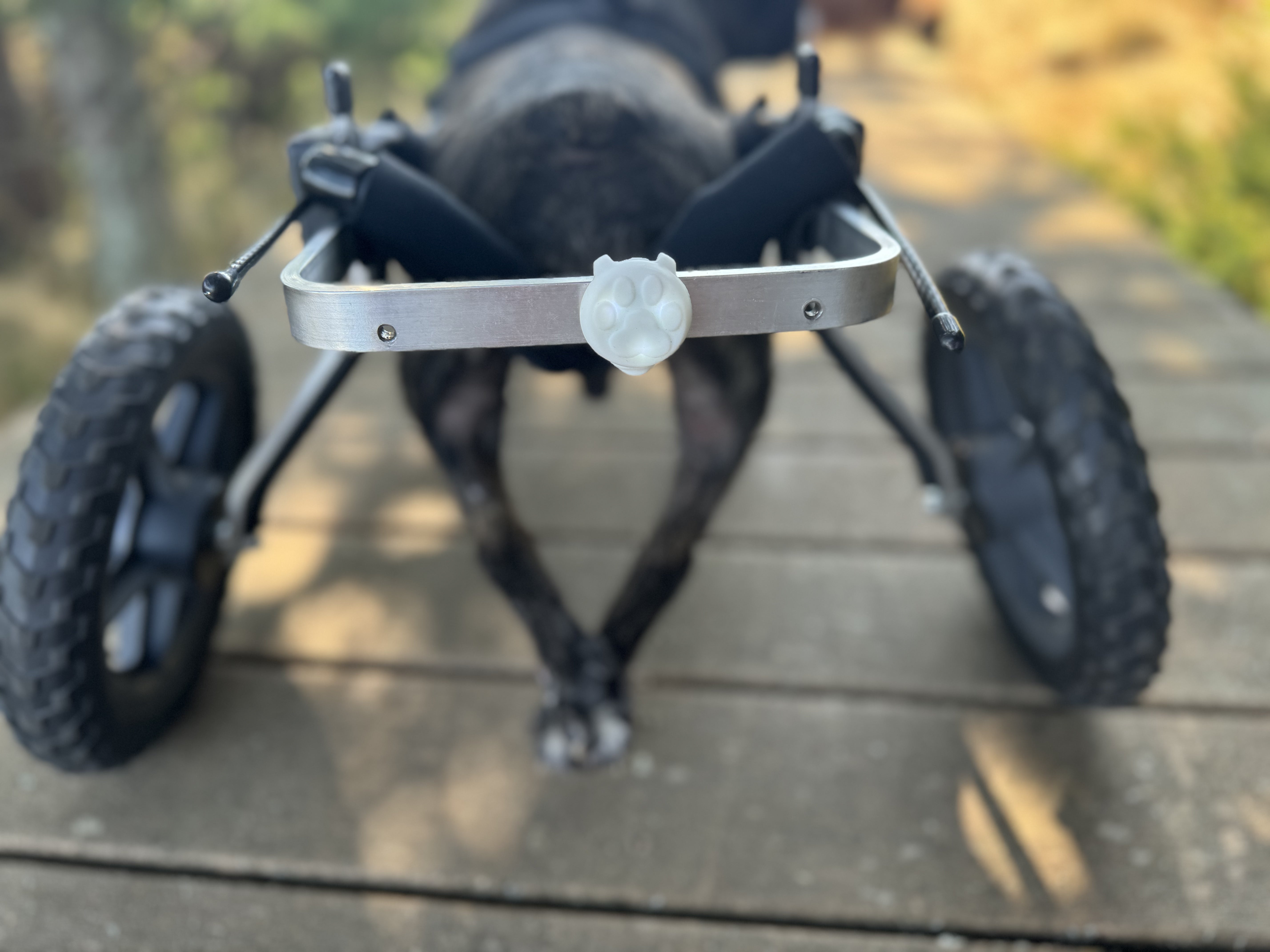 LED Light - K9 Carts