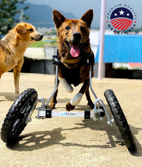 The #1 Custom Dog Wheelchair - Made in the USA - K9 Carts
