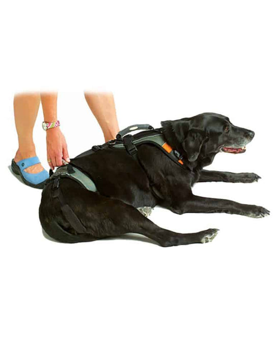 Help Em Up Harness - For Dogs - K9 Carts