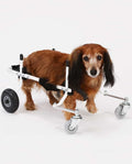Full Support Dog Wheelchair - Quad Mobility Cart, 4 Wheels - K9 Carts